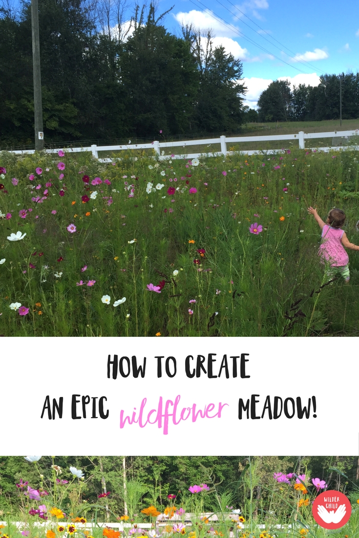 How to Create an EPIC Wildflower Meadow the Kids Will Love - Wilder Child