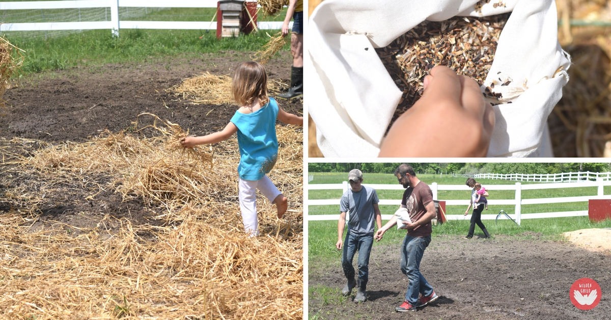 How to Create an EPIC Wildflower Meadow the Kids Will Love - Wilder Child